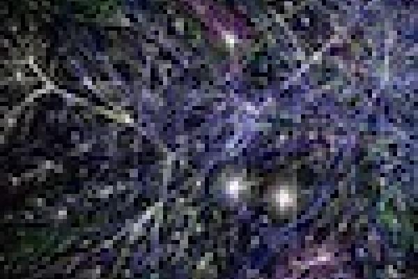 distributed computing | plus.maths.org
